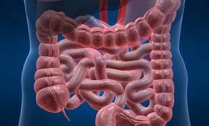 What Is A Spastic Colon?